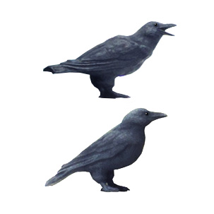 Two Crows – Tabletop World