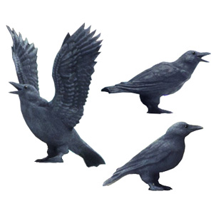 Three Crows – Tabletop World